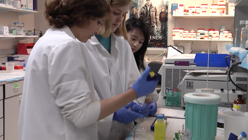 Interdisciplinary Teaching in the Laboratory - Educating Nurses